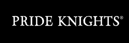 Pride Knights Playing Cards ⚔️🌈
